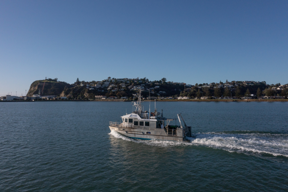 NIWA undertakes post-Gabrielle seabed mapping in Hawkes Bay | Earth ...