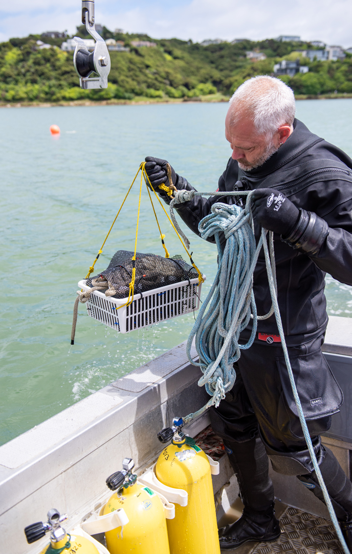 WEB-Mud_survey_Sam_Fraser_Baxter_NIWA-(1-of-1)-2.jpg | NIWA