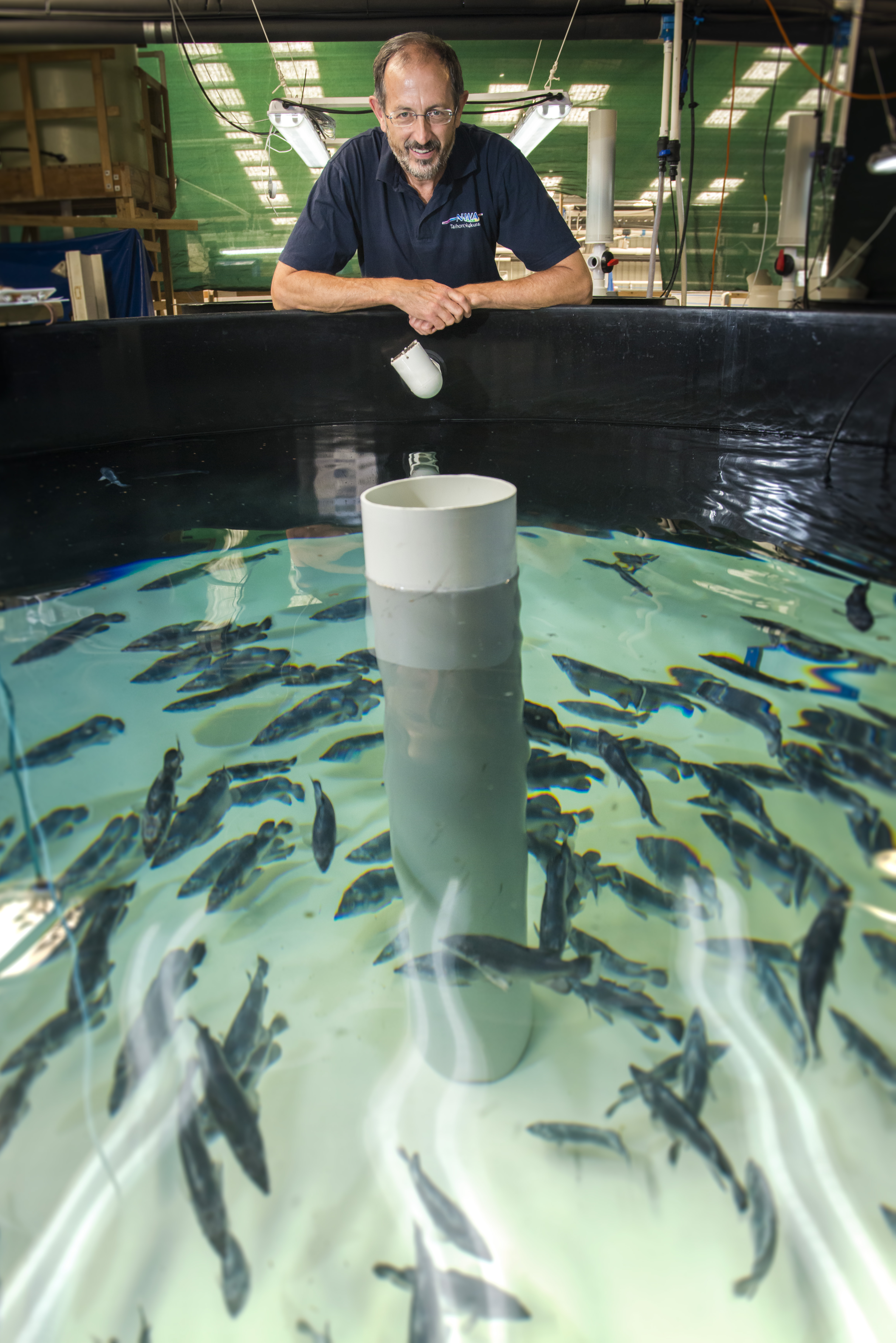 Hāpuku | Earth Sciences New Zealand | NIWA