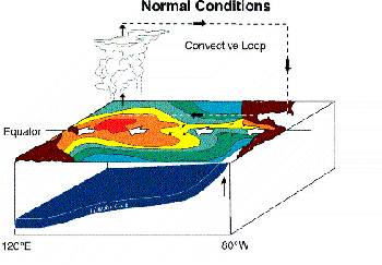 Normal Tropical Pacific Conditions | NIWA