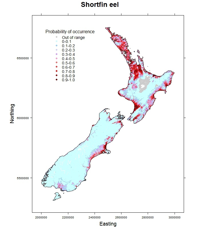 Anguilla australis_distribution_predicted.jpg | Earth Sciences New ...