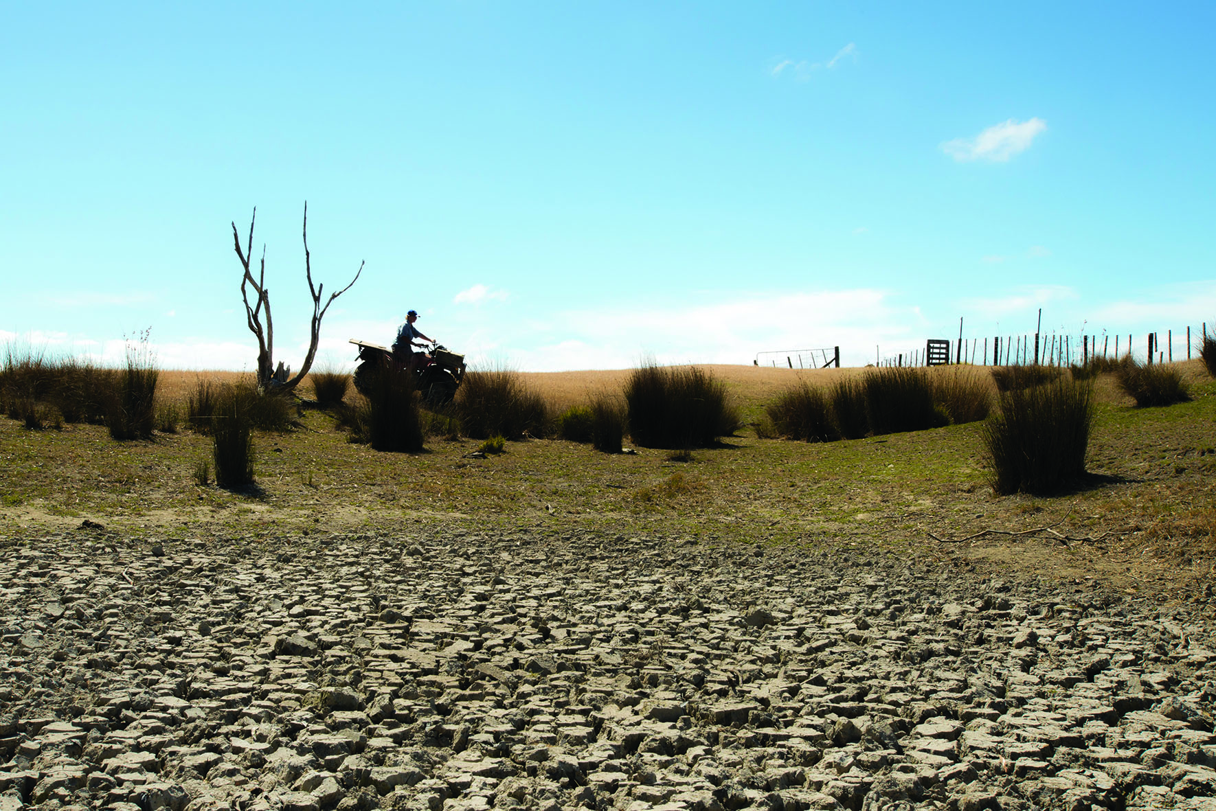 Drought conditions caused strife for many farmers across the North ...