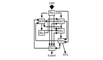Linear inverse ecosystem model (LIEM) | Earth Sciences New Zealand | NIWA