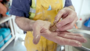 Ashley Rowden and Katie Bigham - Marine ecologists | Earth Sciences New ...