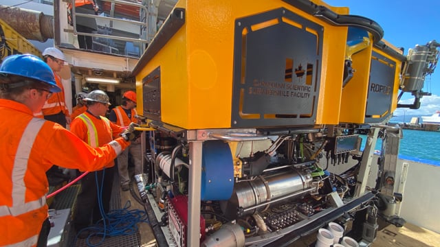 Underwater Remotely Operated Vehicle helping scientists collect data | NIWA Underwater Remotely Operated Vehicle helping scientists collect data | NIWA