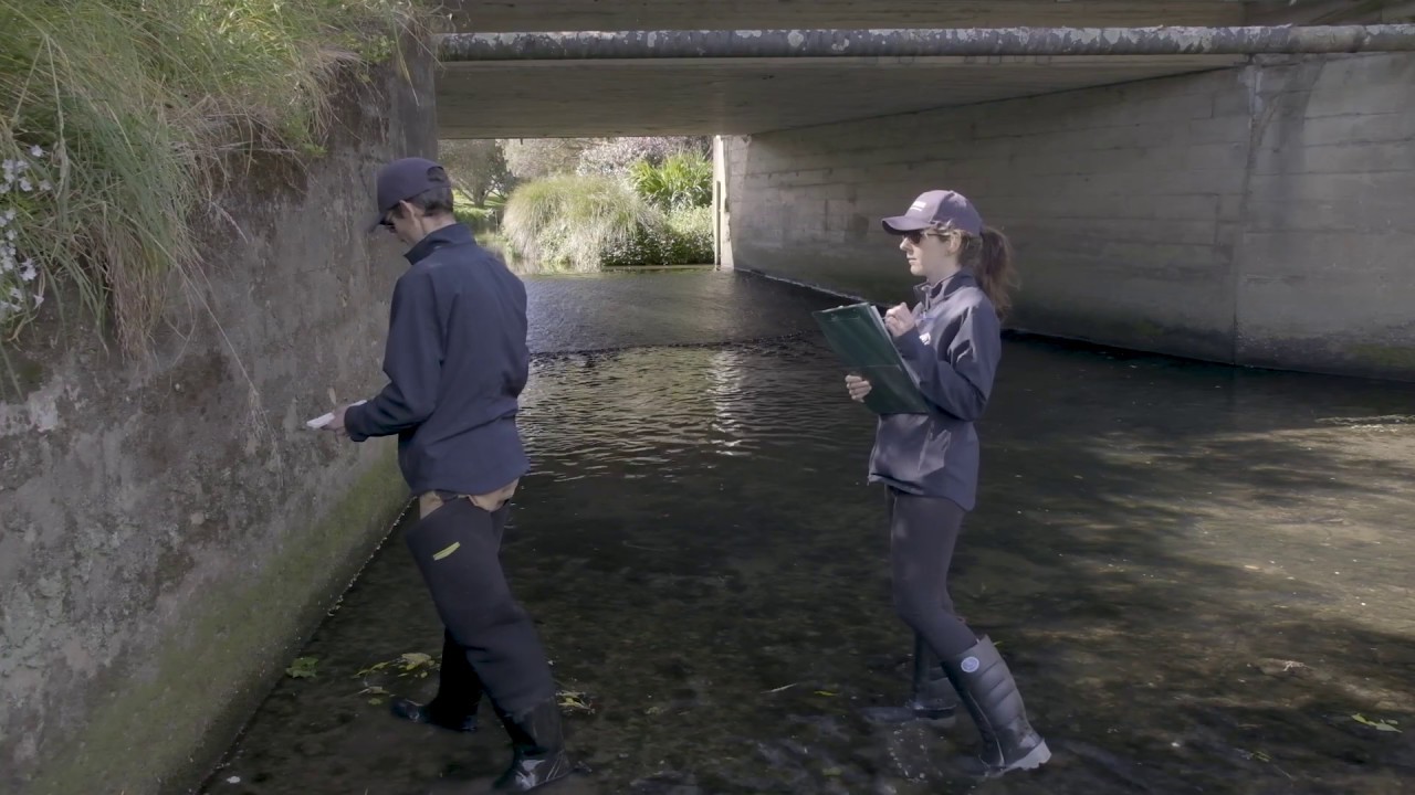 SHMAK habitat – streambed composition | Earth Sciences New Zealand | NIWA