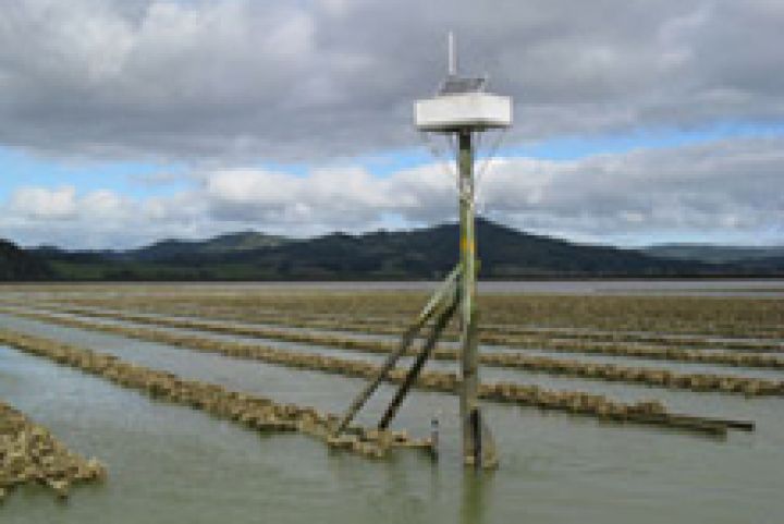 e-harvest.jpg | Earth Sciences New Zealand | NIWA