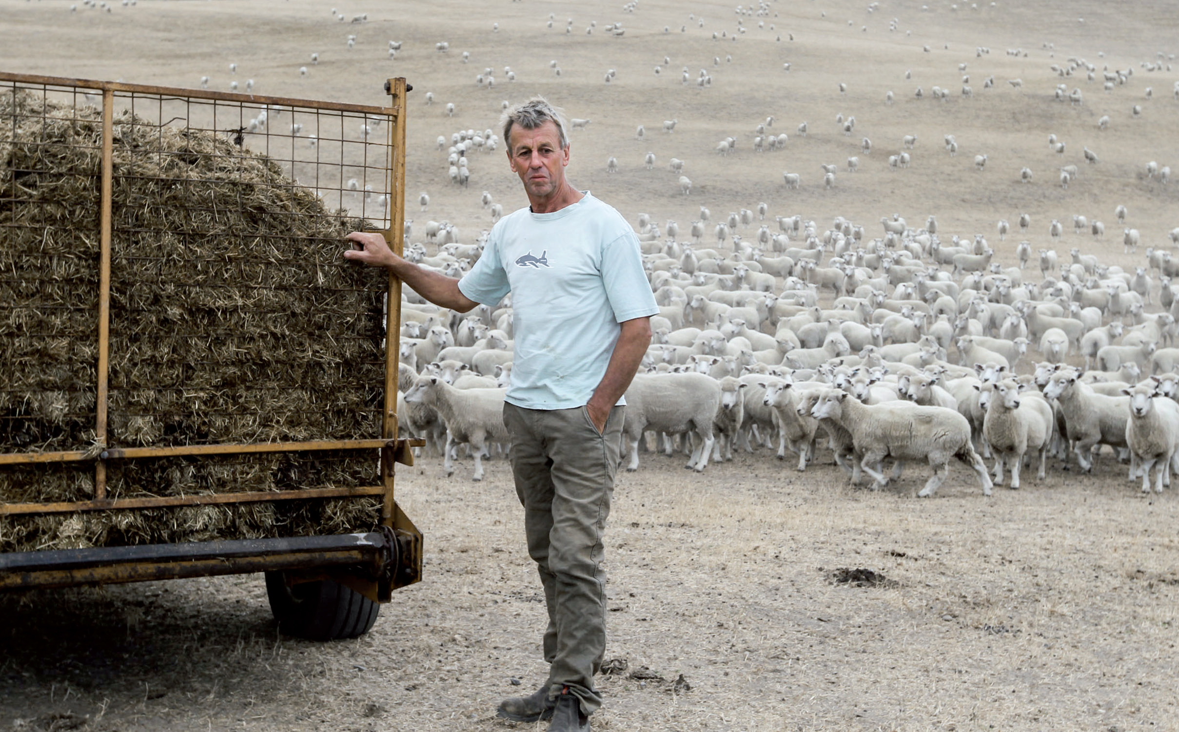Havelock North sheep farmer Bruno Chambers was forced to feed out ...