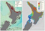 Maps showing recorded and modelled distribution of snapper. | NIWA