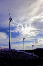 Windfarm at Hau Nui, near Martinborough. (Photo: Alan Blacklock ...