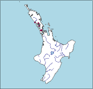 Orfe : orfe.gif | Earth Sciences New Zealand | NIWA