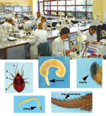 (Photos: Brian Smith) | Earth Sciences New Zealand | NIWA