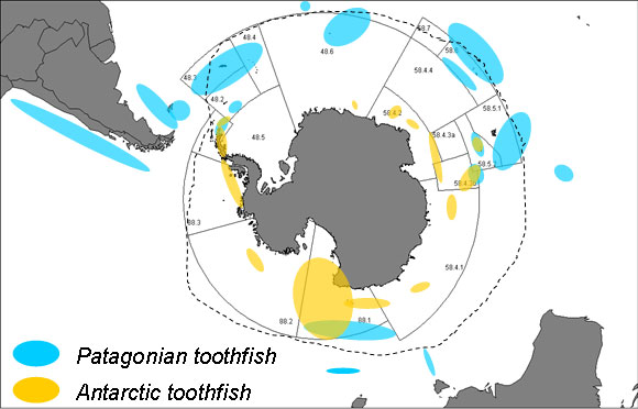 Antarctic Toothfish Fishery in the Ross Sea : toothfish_distribution ...