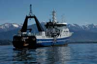 Voyage reveals extraordinary life around deep-sea gas seeps : tangaroa ...