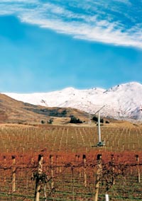 Favourable micro-climates in Central Otago provide opportunities for ...