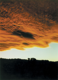 Sunset over Wellington. (Photo: Alan Blacklock) | Earth Sciences New ...