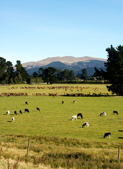Early autumn in mid Canterbury. Climate Explorer will assist farmers to ...