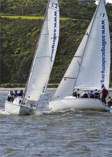 NIWA yachties manoeuvre on the start line on Wellington Harbour ...