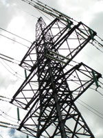 (Photo: Janice Meadows) | NIWA