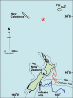 Tracks of two of the eels released in May 2000 at Te Waihora, just ...