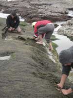 Muddy waters at Te Māhia: cause and effect : muddye_150.jpg | Earth ...