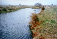 Drainage channel fourteen days after treatment with endothall - Click ...