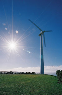 Pole Hill, Wellington. (Photo: Alan Blacklock) | Earth Sciences New ...