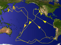 Muttonbirds pursue endless summer across Pacific : migration_200.jpg ...