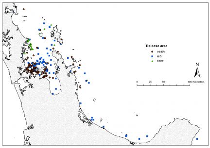 Snapper Graph | Earth Sciences New Zealand | NIWA