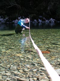 Measuring river flow rate in the Hutt River. Observational data like ...