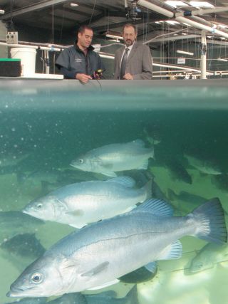 gallery_0.jpg | NIWA