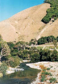 View upstream of the Waikanae River from the water level gauging ...