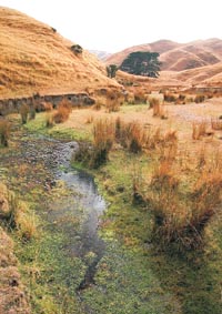 Diminishing stream, Ohariu Valley. | Earth Sciences New Zealand | NIWA