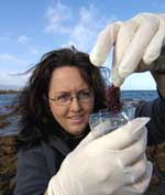 Could this be the one? Andrea collects a sample of seaweed from the ...