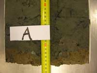 Sediment_sample_200_2.jpg | Earth Sciences New Zealand | NIWA