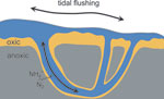 Schematic of gas exchange during tidal flushing. (Graphic: K. Vopel ...