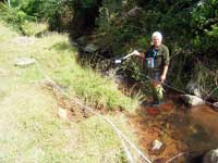 NIWA’s Kerry Costley working at an Environment Waikato Clean Stream ...