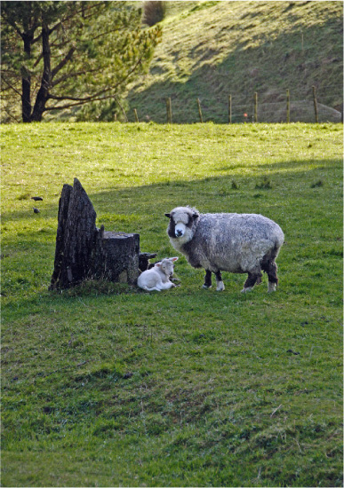 Shades of spring. High soil moisture levels and rising temperatures ...