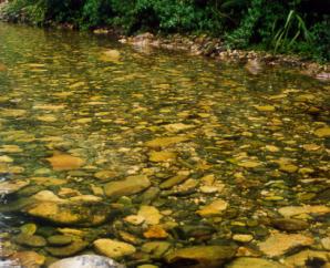 How to monitor your stream : image011.jpg | Earth Sciences New Zealand ...