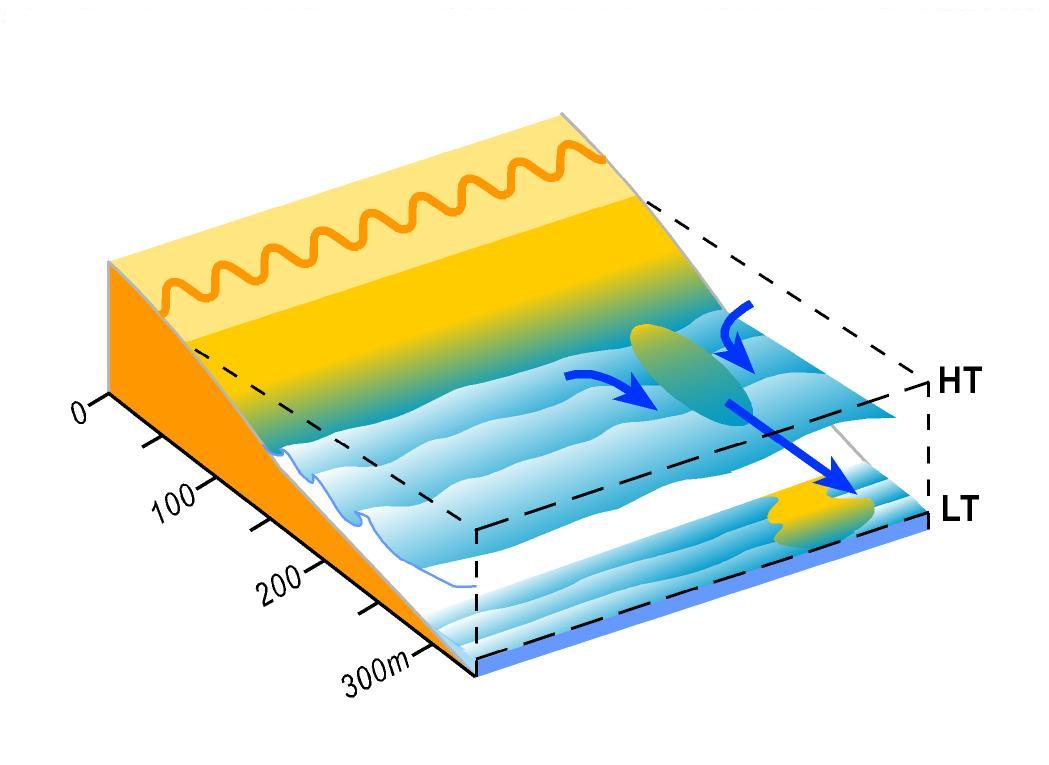 Reflective + low tide terrace | Earth Sciences New Zealand | NIWA