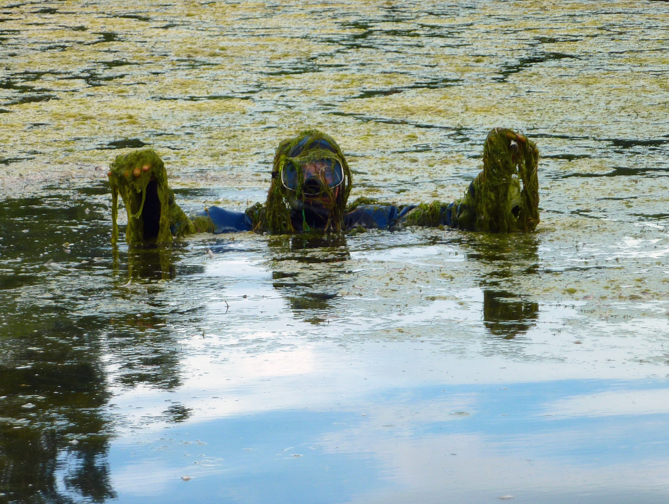 Our work - Swamp monster | Earth Sciences New Zealand | NIWA
