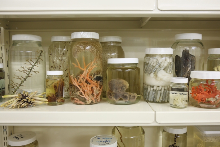 Environmental information | Earth Sciences New Zealand | NIWA