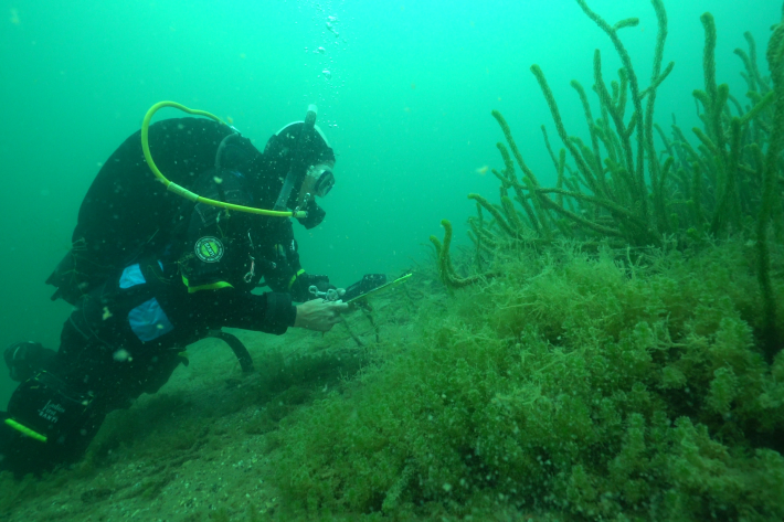 Freshwater Ecological monitoring | Earth Sciences New Zealand | NIWA