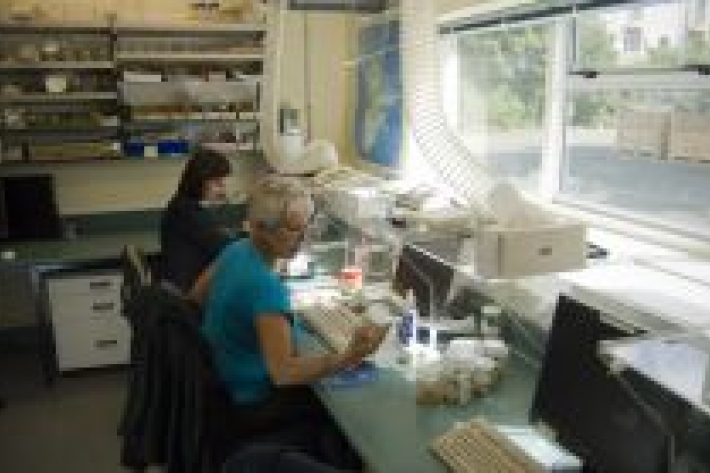 Default Fallback Gallery for "General" Science Centre | Earth Sciences ...