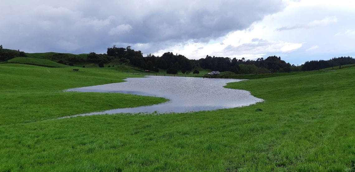 NIWA Seeks Crucial Data to Boost Freshwater Protection Efforts | Earth ...