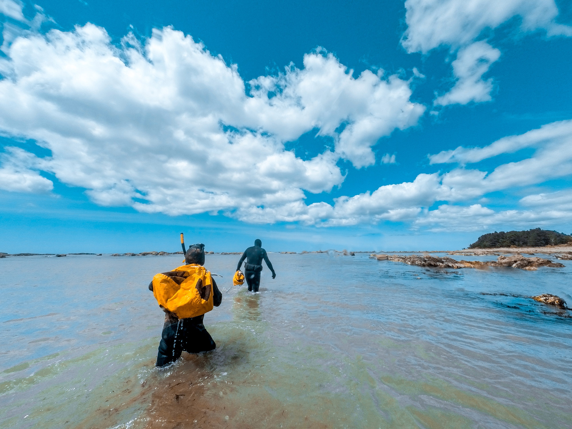 Dean Stotter and Jeff Forman wade out to the rocks to survey puerulus ...