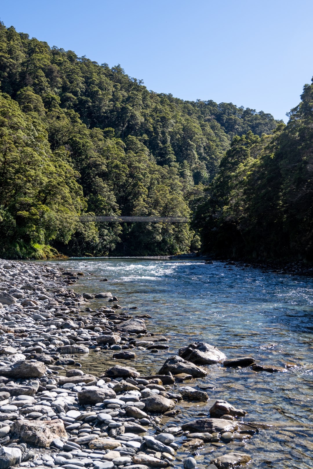 2021_12_BLUE_POOLS_young_07889 (Large).jpg | Earth Sciences New Zealand ...