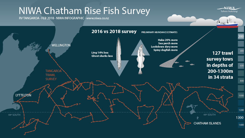 ChathamRiseFishSurvey-Feb2018-NIWAinfographic-survey-map.jpg | NIWA