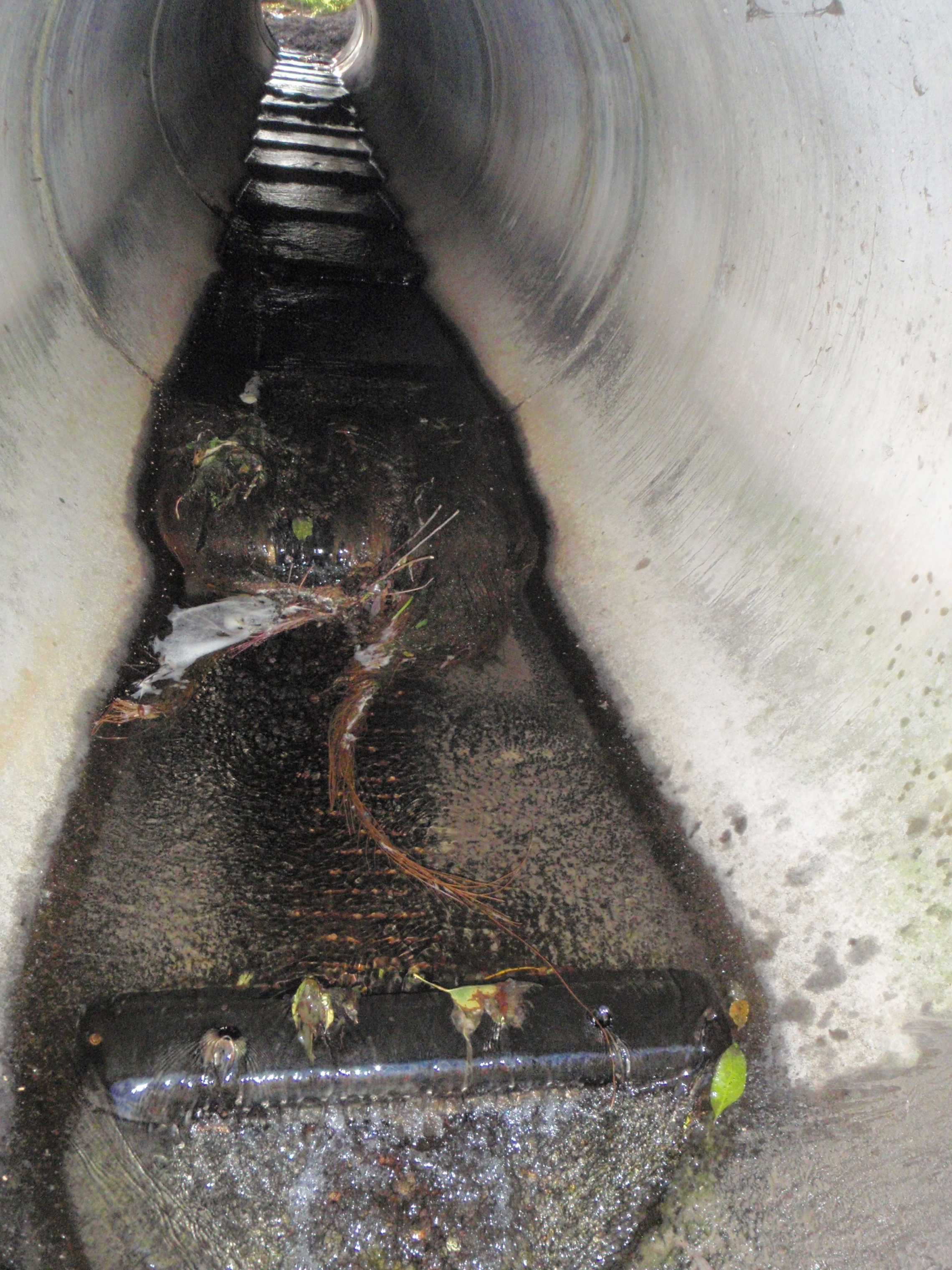 weir baffles | Earth Sciences New Zealand | NIWA