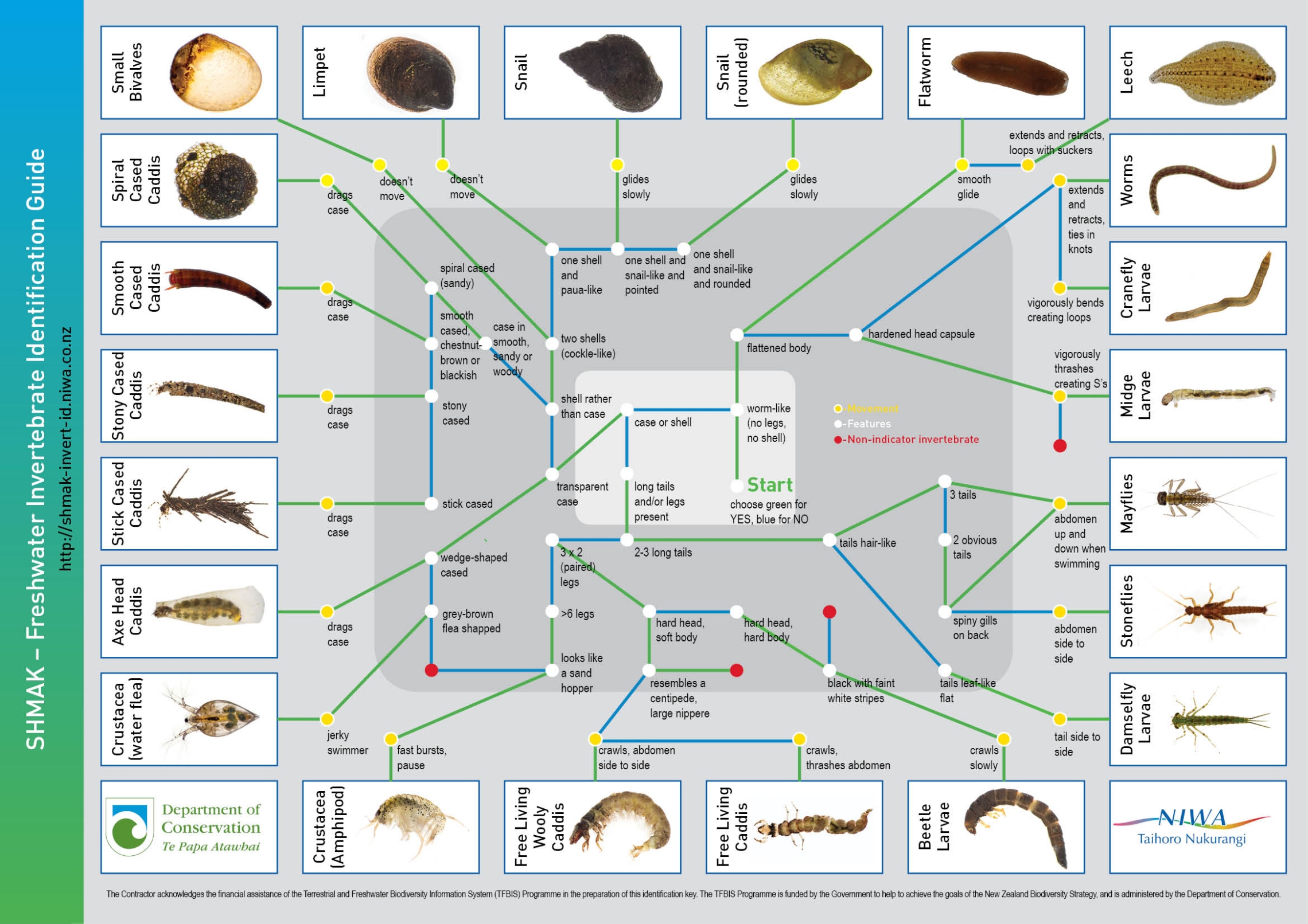 SHMAK identification guide_web | Earth Sciences New Zealand | NIWA